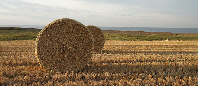 ADA responds to Defra's Environmental Land Management Policy ...