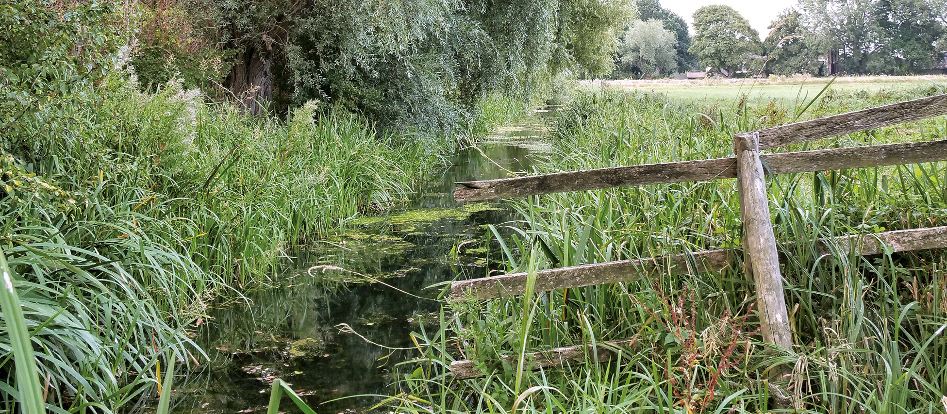 The essential work of internal drainage boards - Association of ...